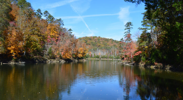 Tennessee Mental Health | Addiction Recovery Norris, TN